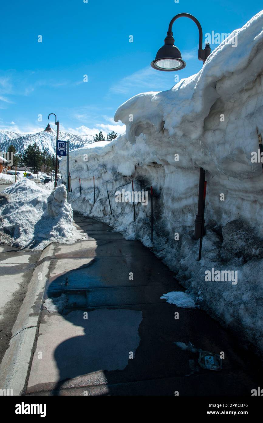 Record snow mammoth hi-res stock photography and images - Alamy