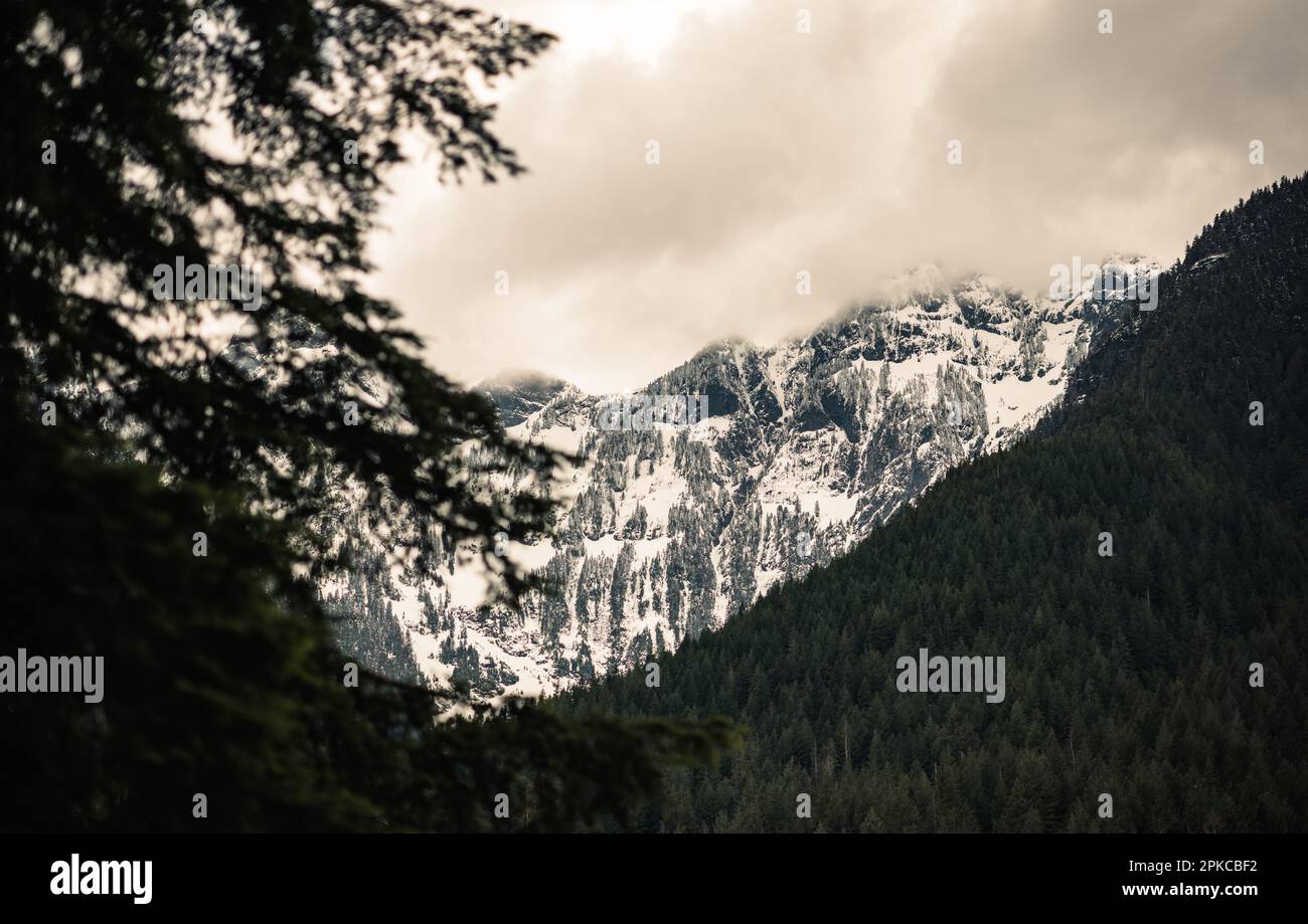 Golden Ears provincial park in Maple Ridge, BC, Canada Stock Photo - Alamy