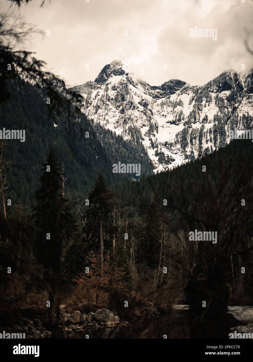 Golden Ears provincial park in Maple Ridge, BC, Canada Stock Photo - Alamy