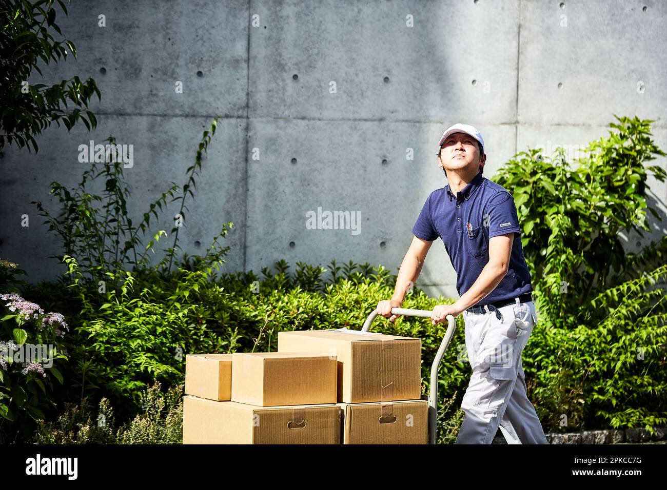Man carrying cardboard boxes using a cart Stock Photo - Alamy