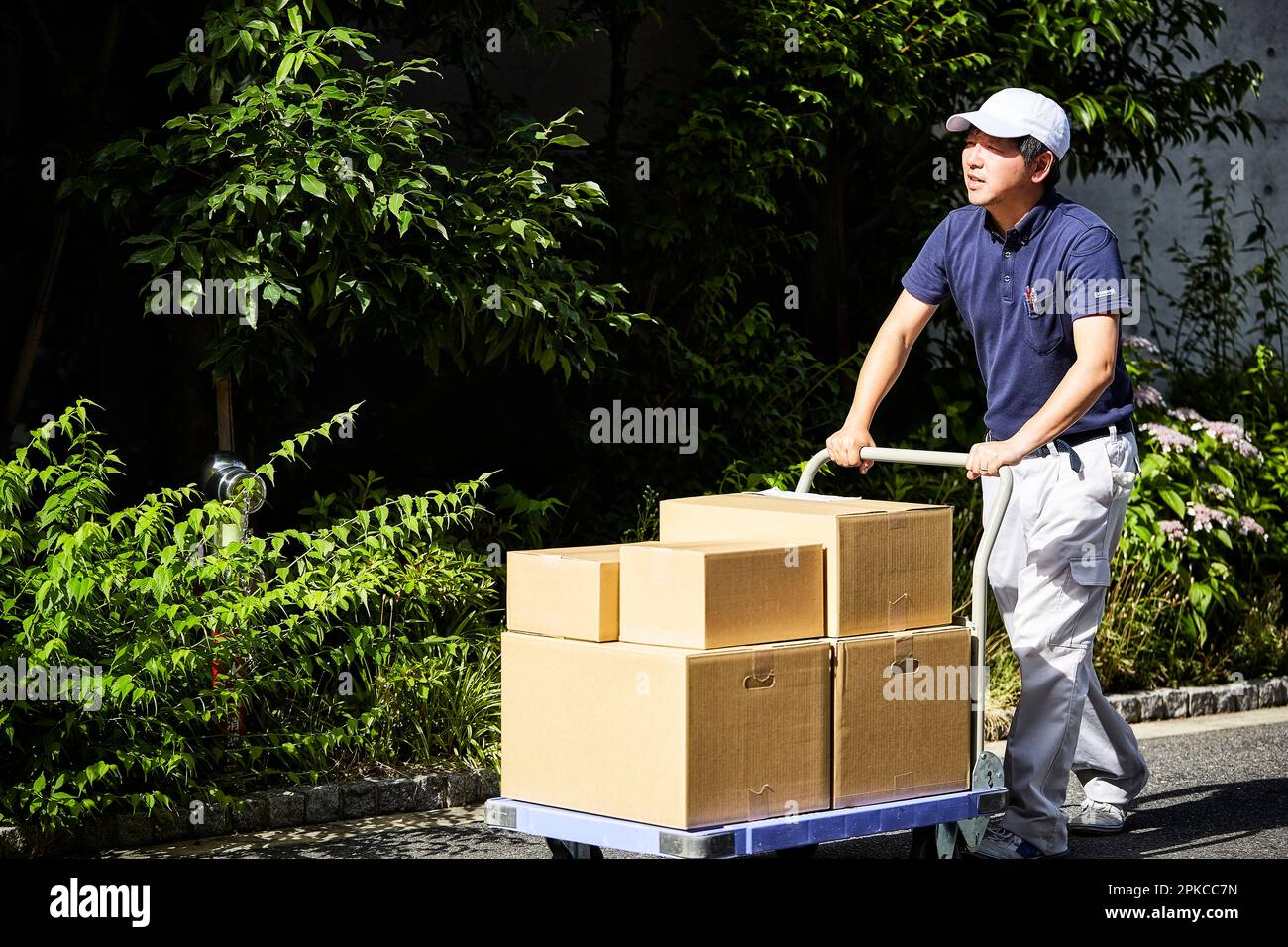 Man carrying cardboard boxes using a cart Stock Photo - Alamy