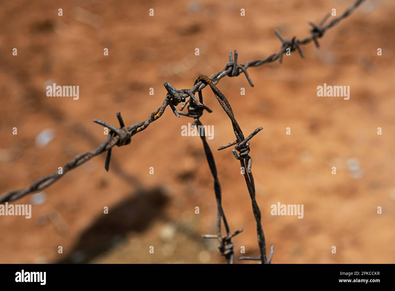Barbed wire, close up Stock Photo - Alamy