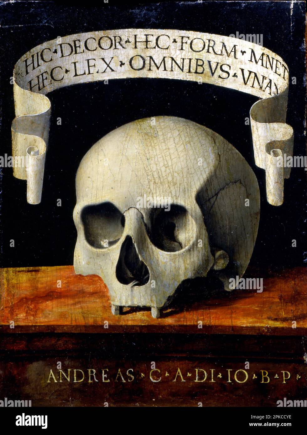 Portrait of a Man - Memento Mori (1470 - 1528) by Andrea Previtali ...