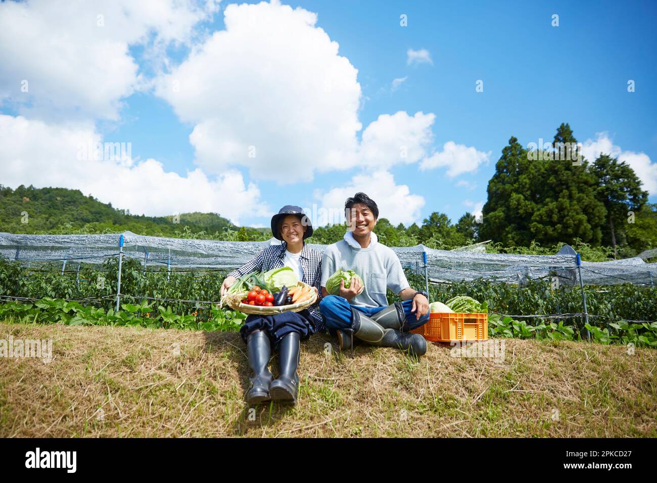 Man and woman with vegetables sitting on the bank in front of the field ...