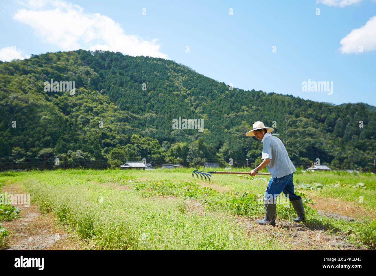 Man cultivating a field Stock Photo - Alamy