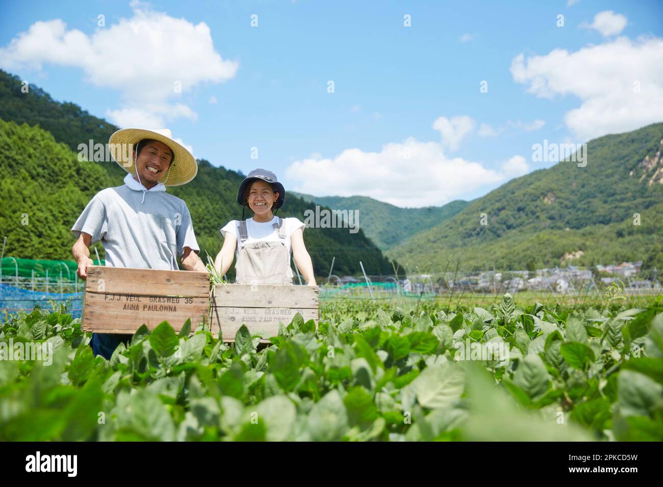 Field man boxes hi-res stock photography and images - Alamy