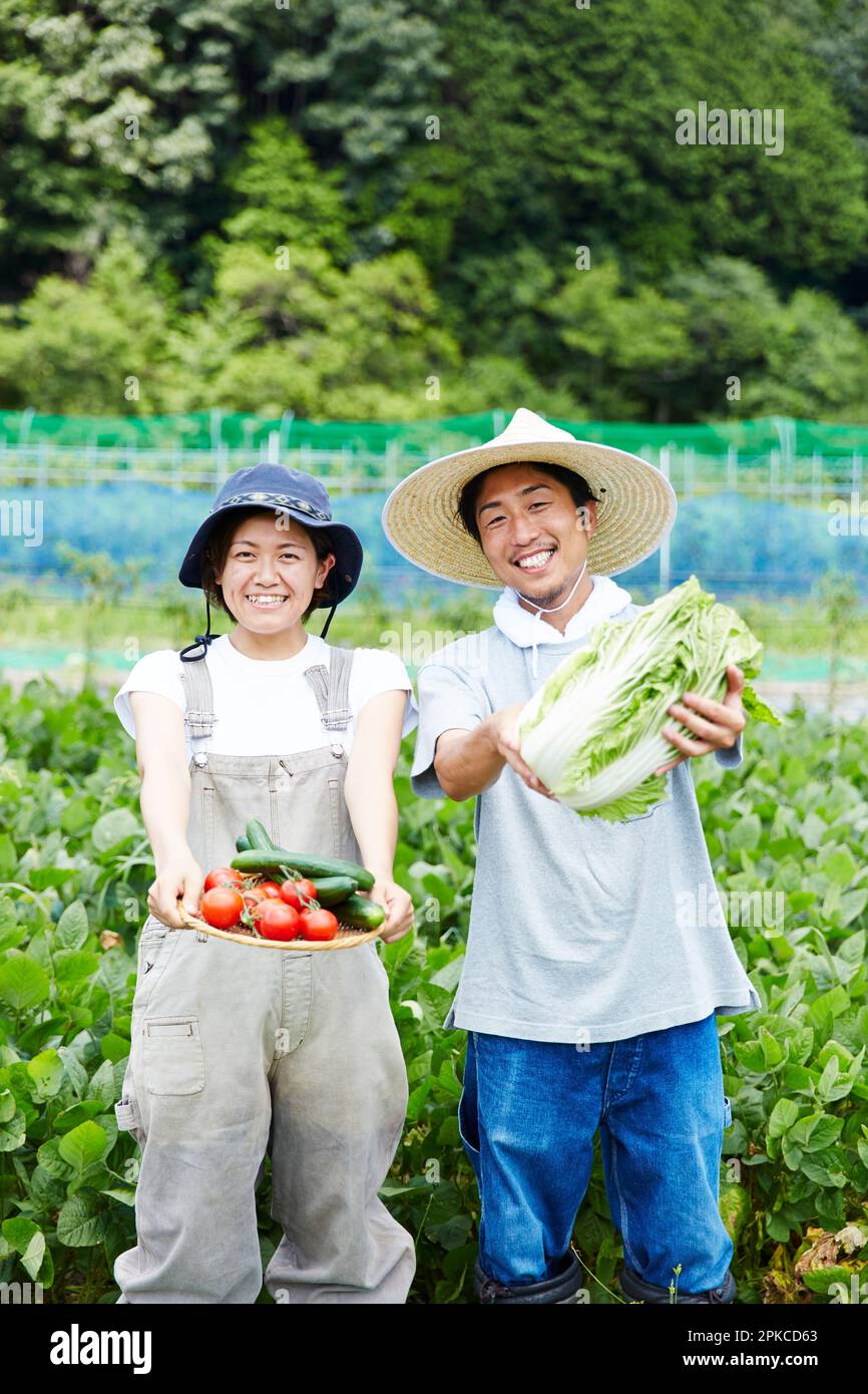Man standing in cabbage field hi-res stock photography and images - Alamy