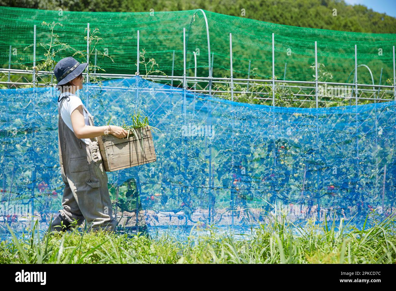 Person carrying box walking hi-res stock photography and images - Alamy