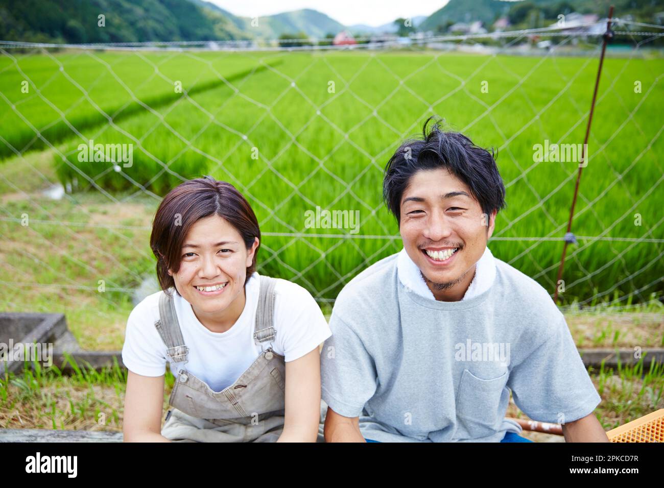 Farmer pesticide in paddy field hi-res stock photography and images - Alamy