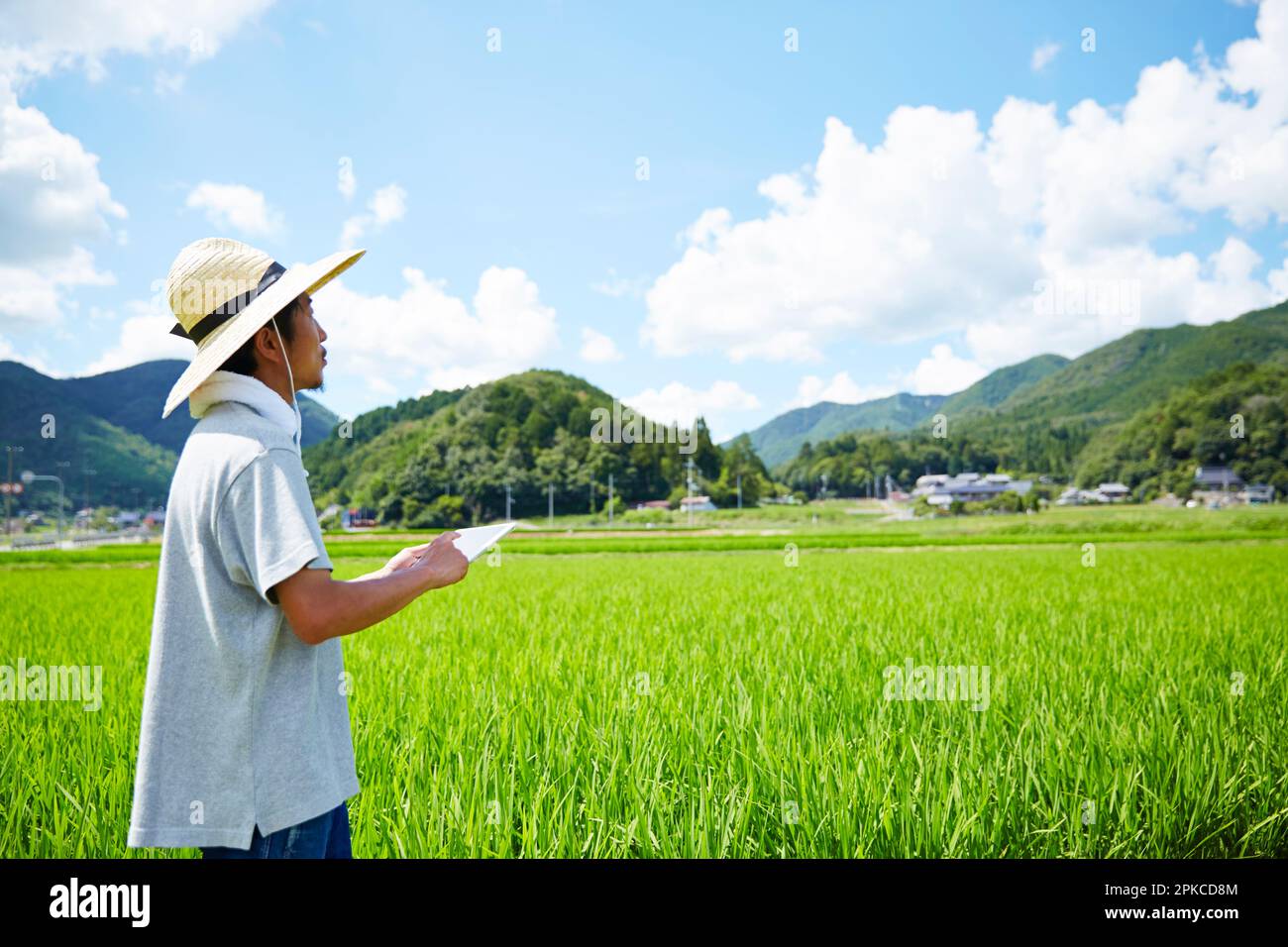 Operating rice hi-res stock photography and images - Alamy