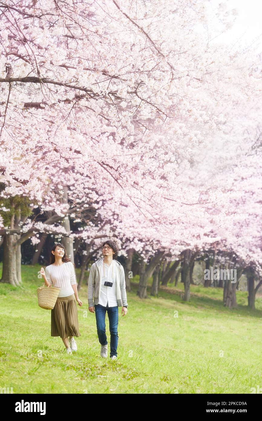 Picnic cherry blossoms hi-res stock photography and images - Alamy