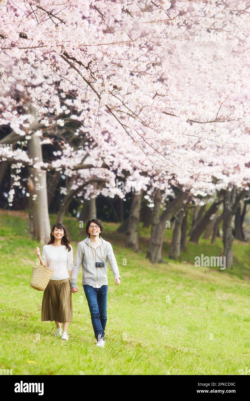Picnic cherry blossoms hi-res stock photography and images - Alamy