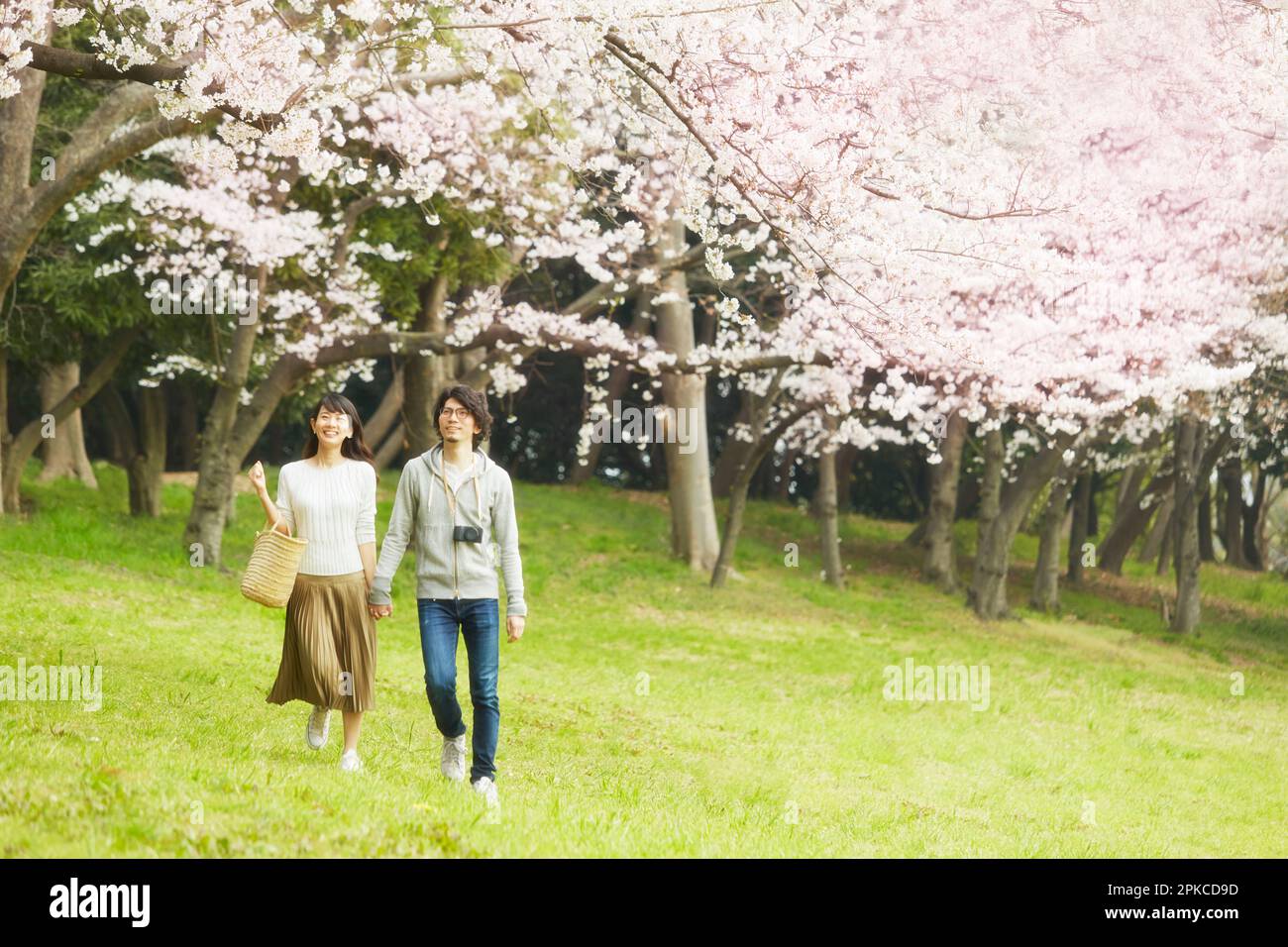 Picnic cherry blossoms hi-res stock photography and images - Alamy