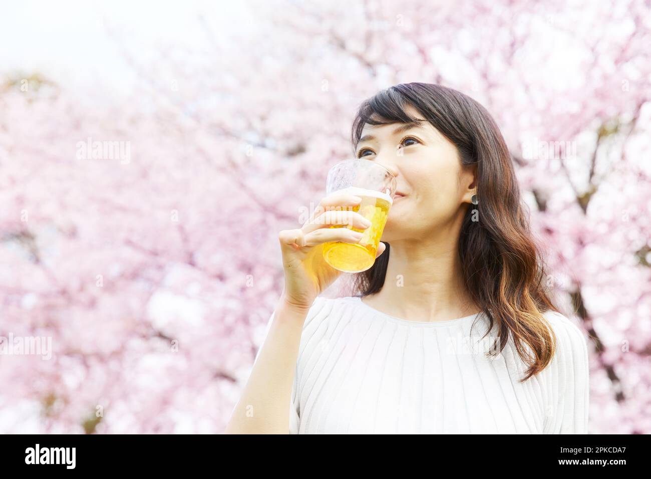 Woman drinking beer under the cherry tree Stock Photo - Alamy