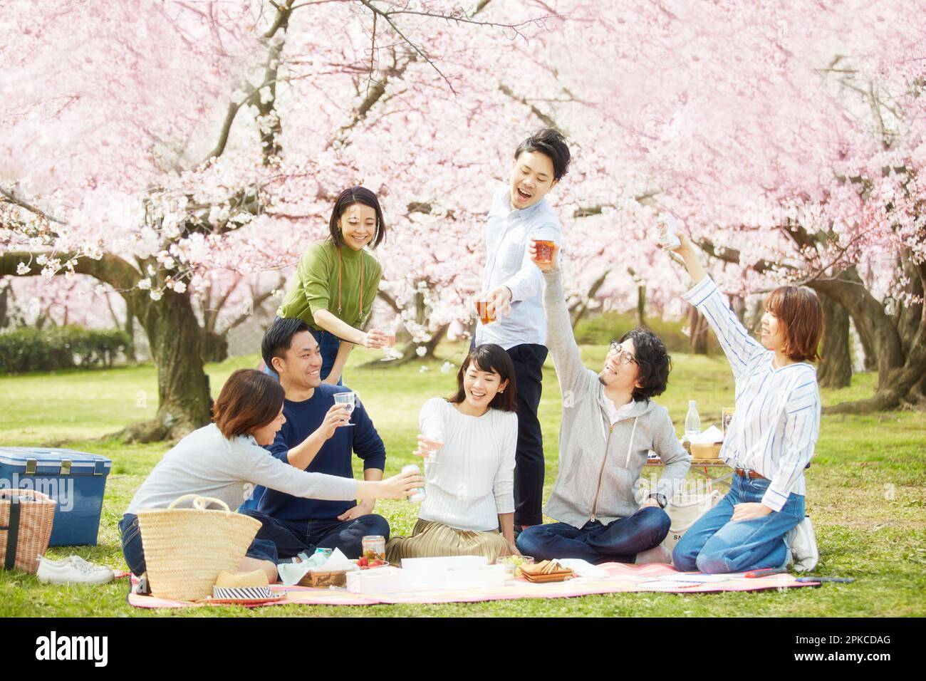 Seven men and women viewing cherry blossoms Stock Photo - Alamy