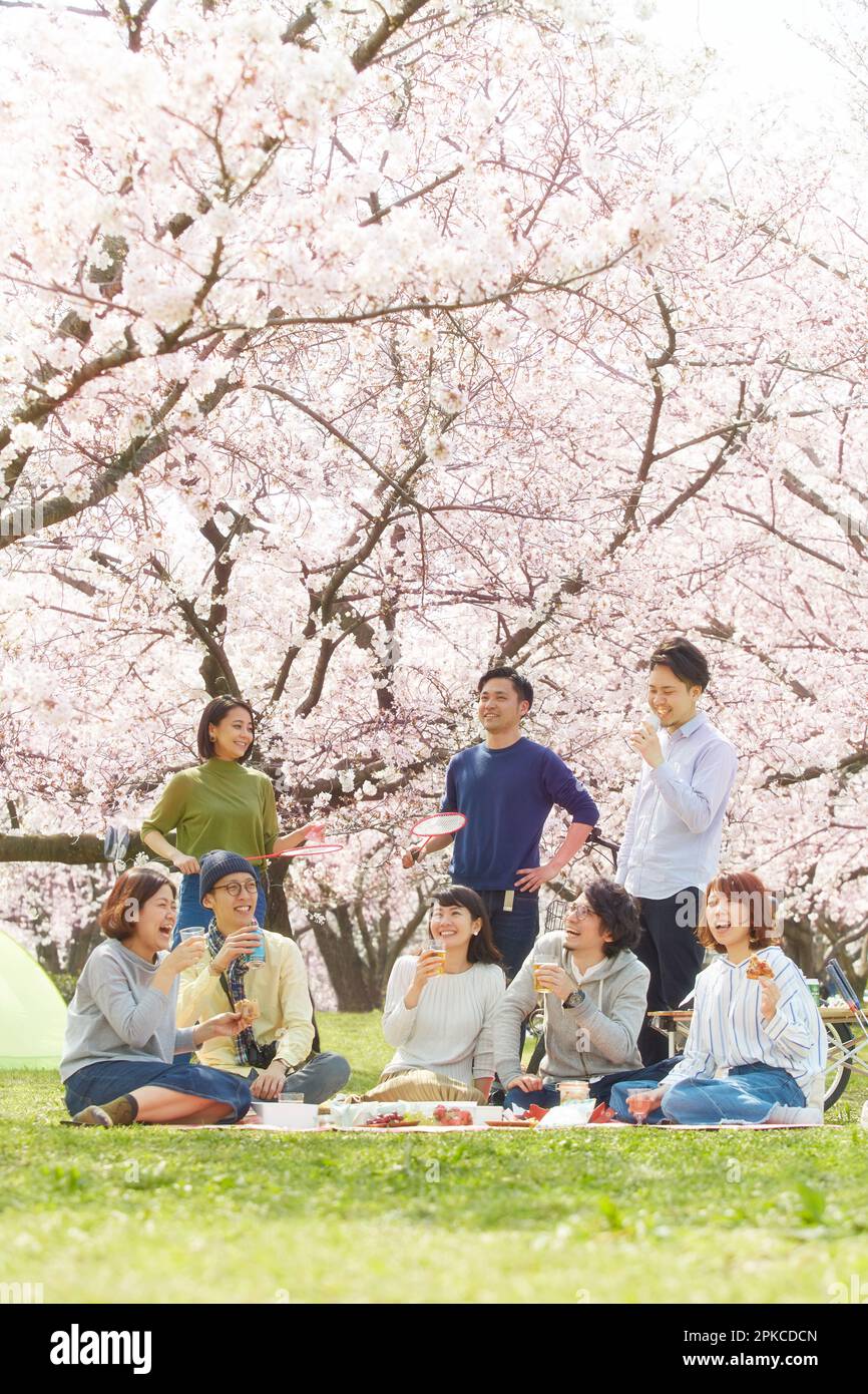 Eight men and eight women viewing cherry blossoms Stock Photo - Alamy
