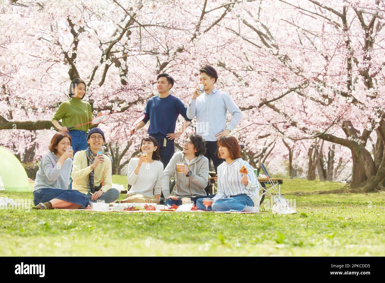 8 men and 8 women viewing cherry blossoms Stock Photo - Alamy