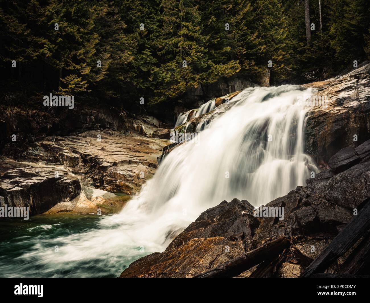 Golden Ears provincial park in Maple Ridge, BC, Canada Stock Photo - Alamy