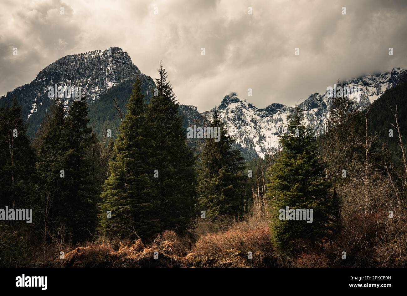 Golden Ears provincial park in Maple Ridge, BC, Canada Stock Photo - Alamy