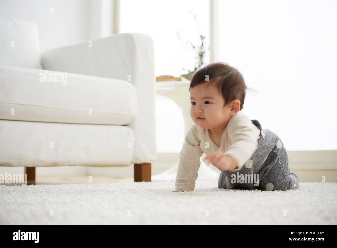 Crawling on all fours hi-res stock photography and images - Alamy