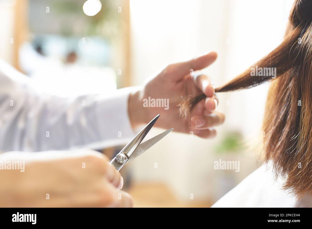 Hair cutting experience hi-res stock photography and images - Alamy