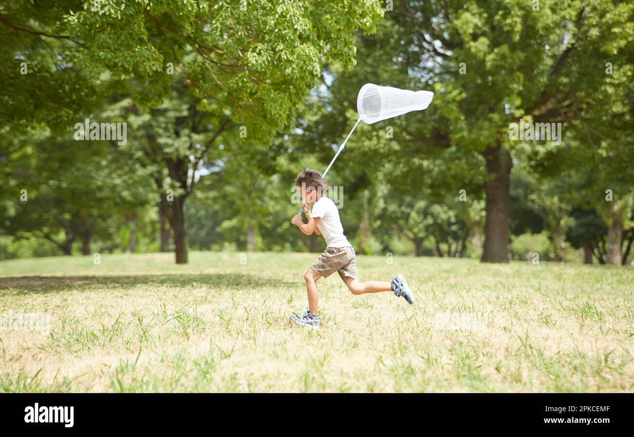 Boy running in the park with a bug net Stock Photo - Alamy