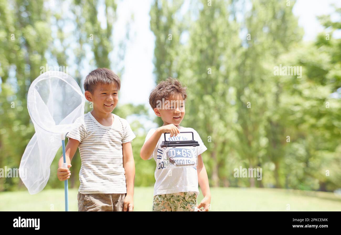 Old japan insect study hi-res stock photography and images - Alamy