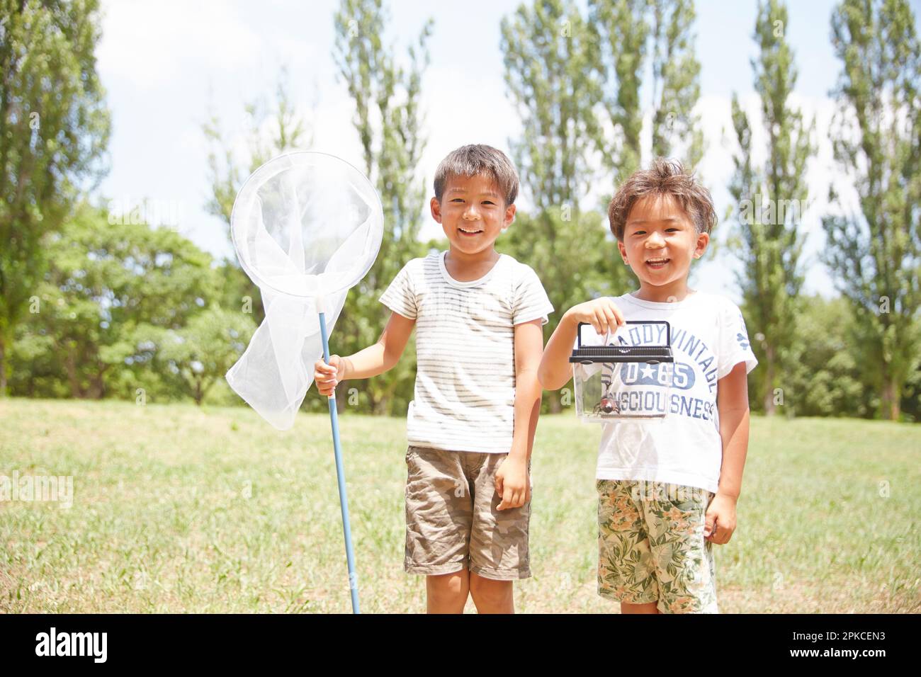 Insect cages hi-res stock photography and images - Alamy
