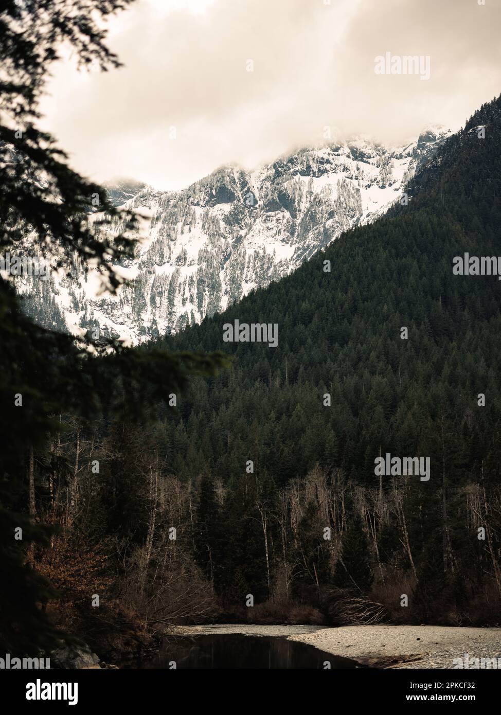 Golden Ears Provincial Park in Maple Ridge, BC, Canada Stock Photo - Alamy
