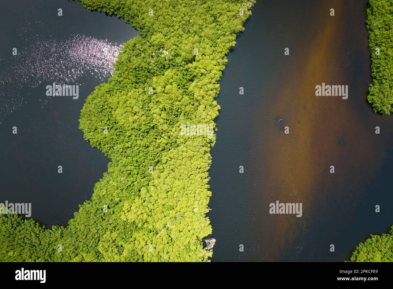 Overhead view of Everglades swamp with green vegetation between water ...