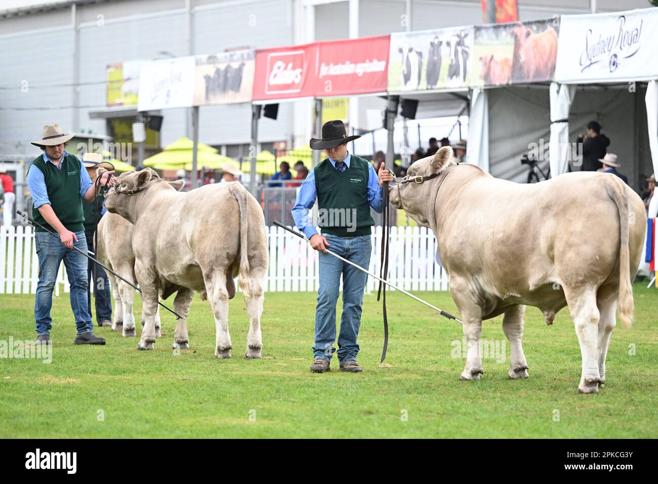 Exhibitors at the Sydney Royal Easter Show on Good Friday in Sydney, Friday, April 7, 2023. The ...