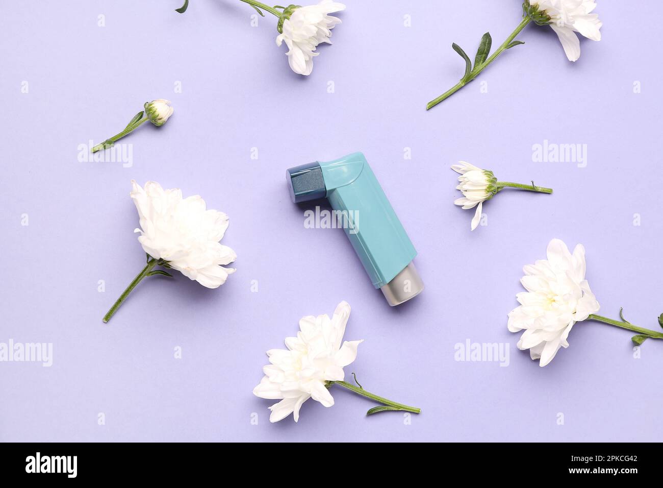 Asthma inhaler with flowers on lilac background Stock Photo - Alamy