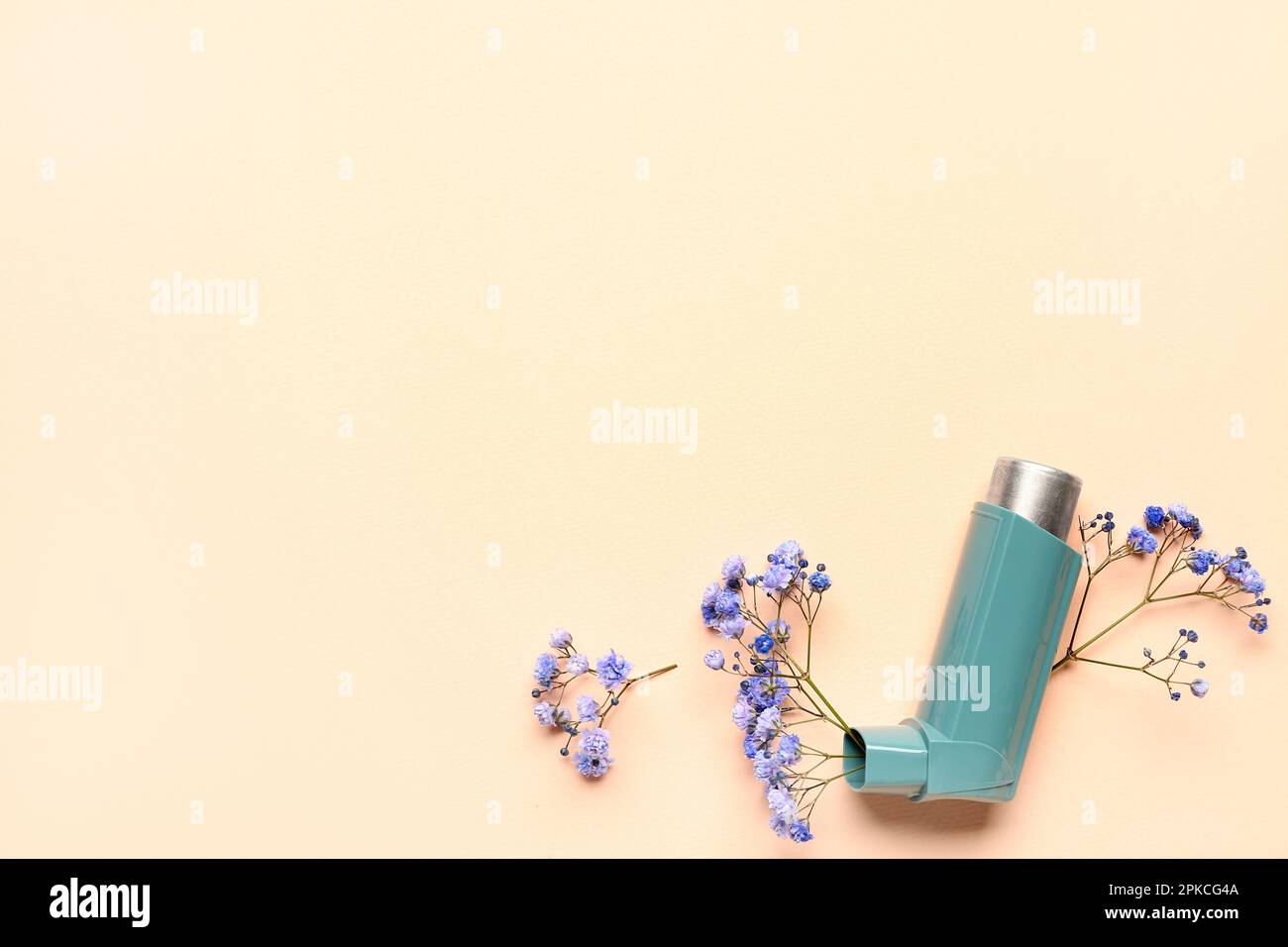 Asthma inhaler with gypsophila flowers on beige background Stock Photo ...