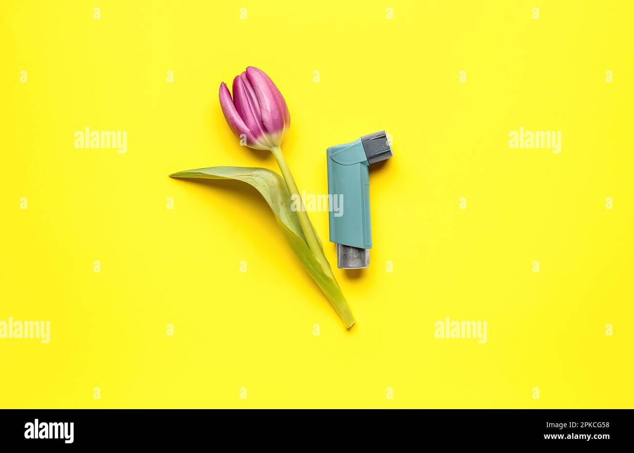 Asthma inhaler with tulip on yellow background Stock Photo - Alamy