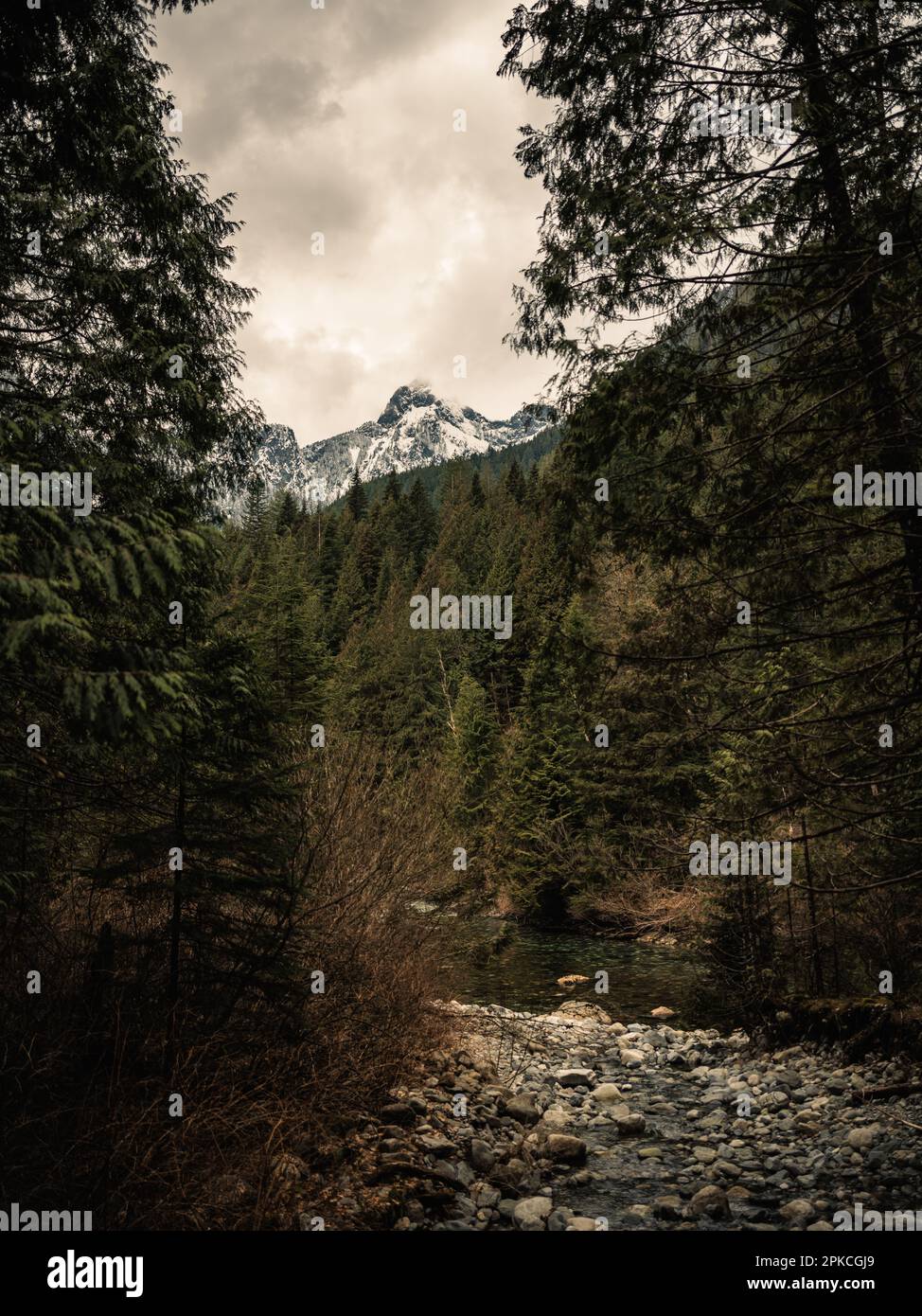 Golden Ears Provincial Park in Maple Ridge, BC, Canada Stock Photo - Alamy