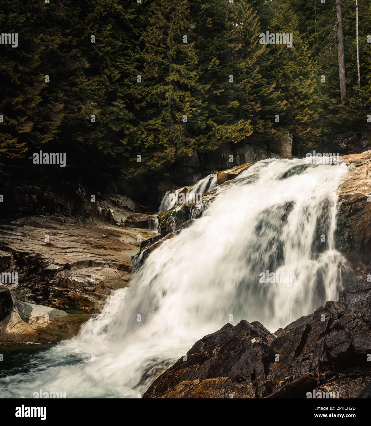 Golden Ears Provincial Park in Maple Ridge, BC, Canada Stock Photo - Alamy
