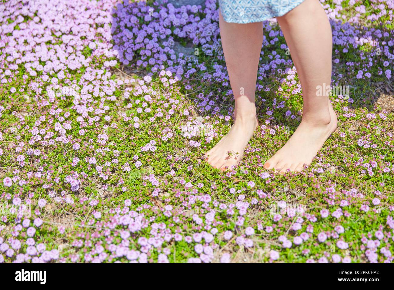 Woman's feet standing barefoot in a flower garden Stock Photo - Alamy