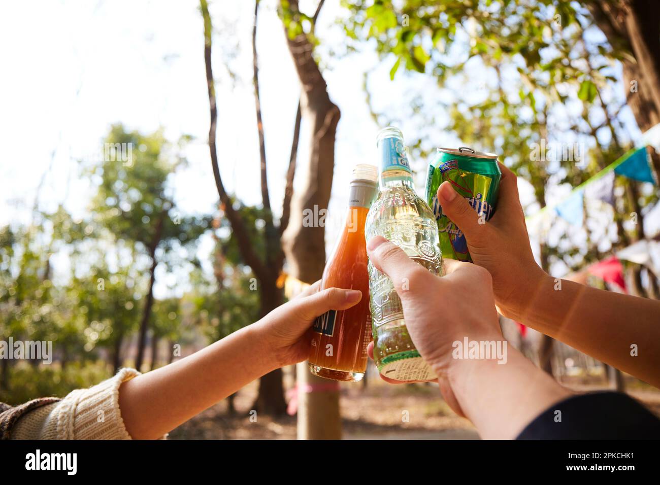 Hand shot of people making a toast in a bush of trees Stock Photo - Alamy