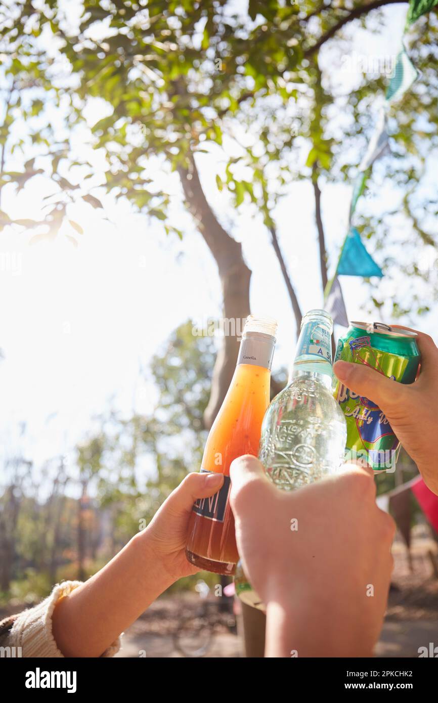Hand shot of people making a toast in a thicket of trees Stock Photo ...