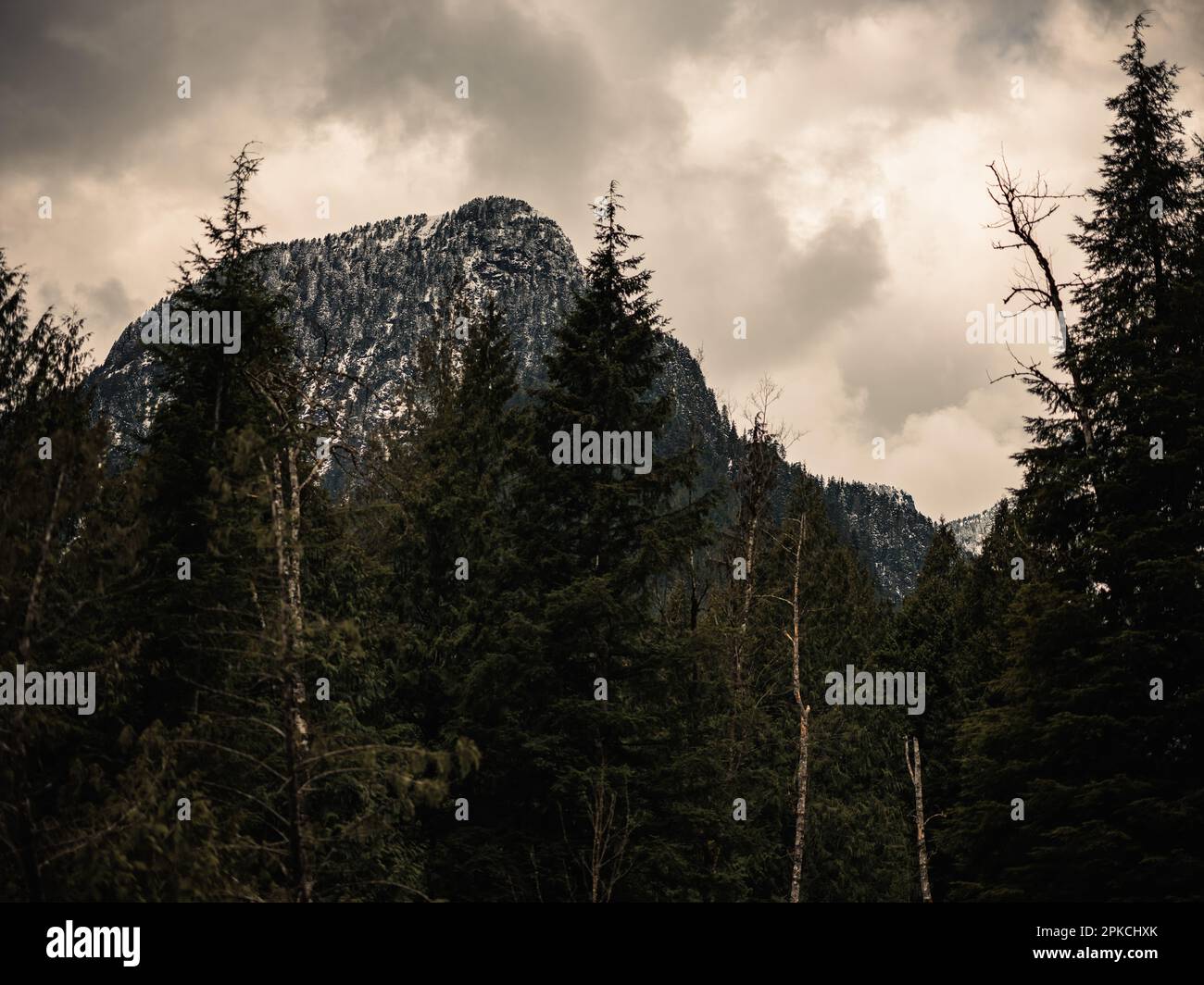Golden Ears Provincial Park in Maple Ridge, BC, Canada Stock Photo - Alamy