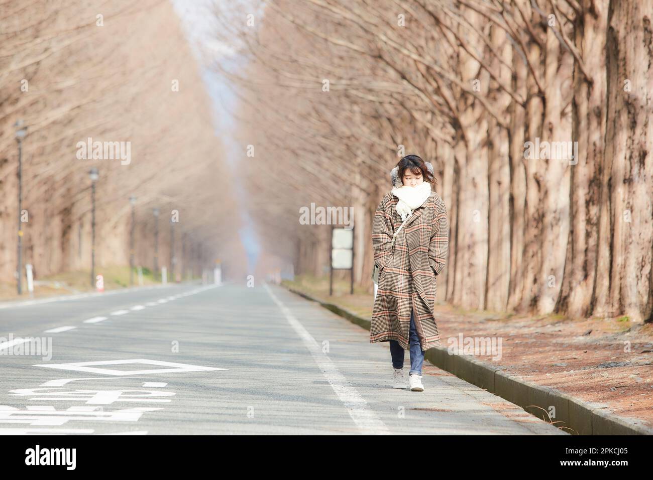 Woman walking in the cold on a road lined with dead trees Stock Photo ...