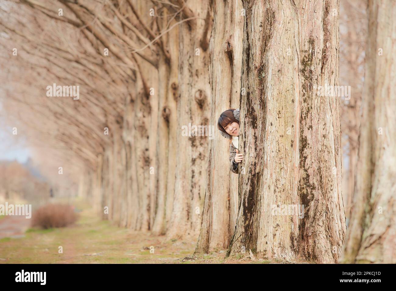 Woman peeking out from a row of trees Stock Photo - Alamy