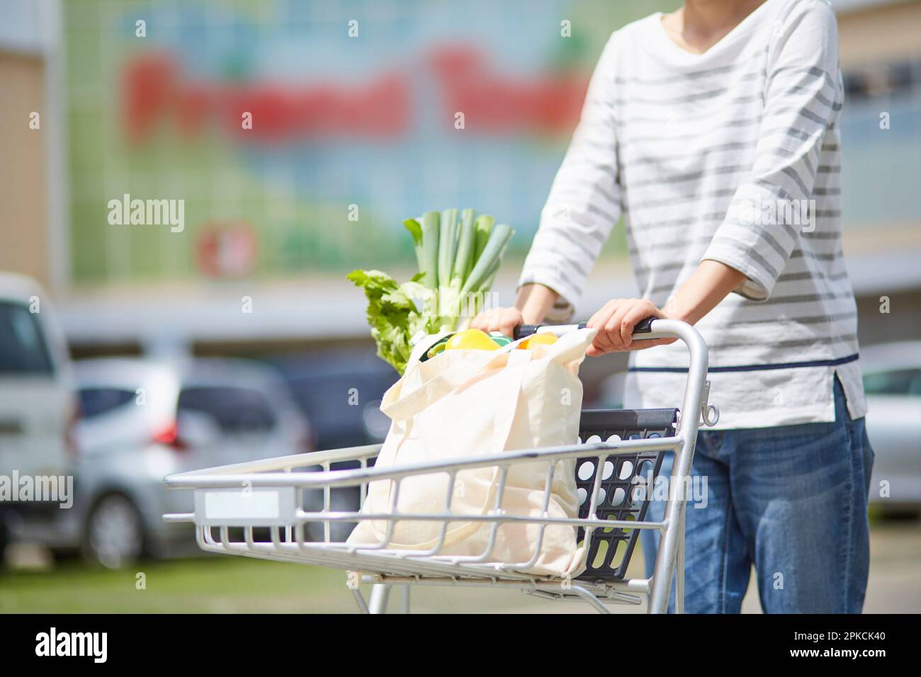 Woman carrying food in eco-bag with cart Stock Photo - Alamy