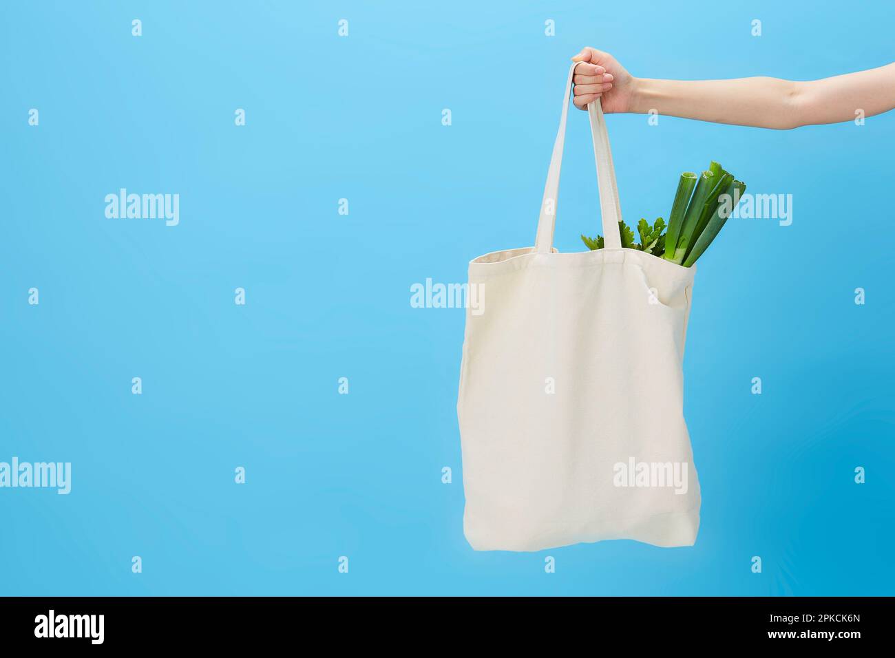 Hand holding an eco-bag with food ingredients in a blue background ...