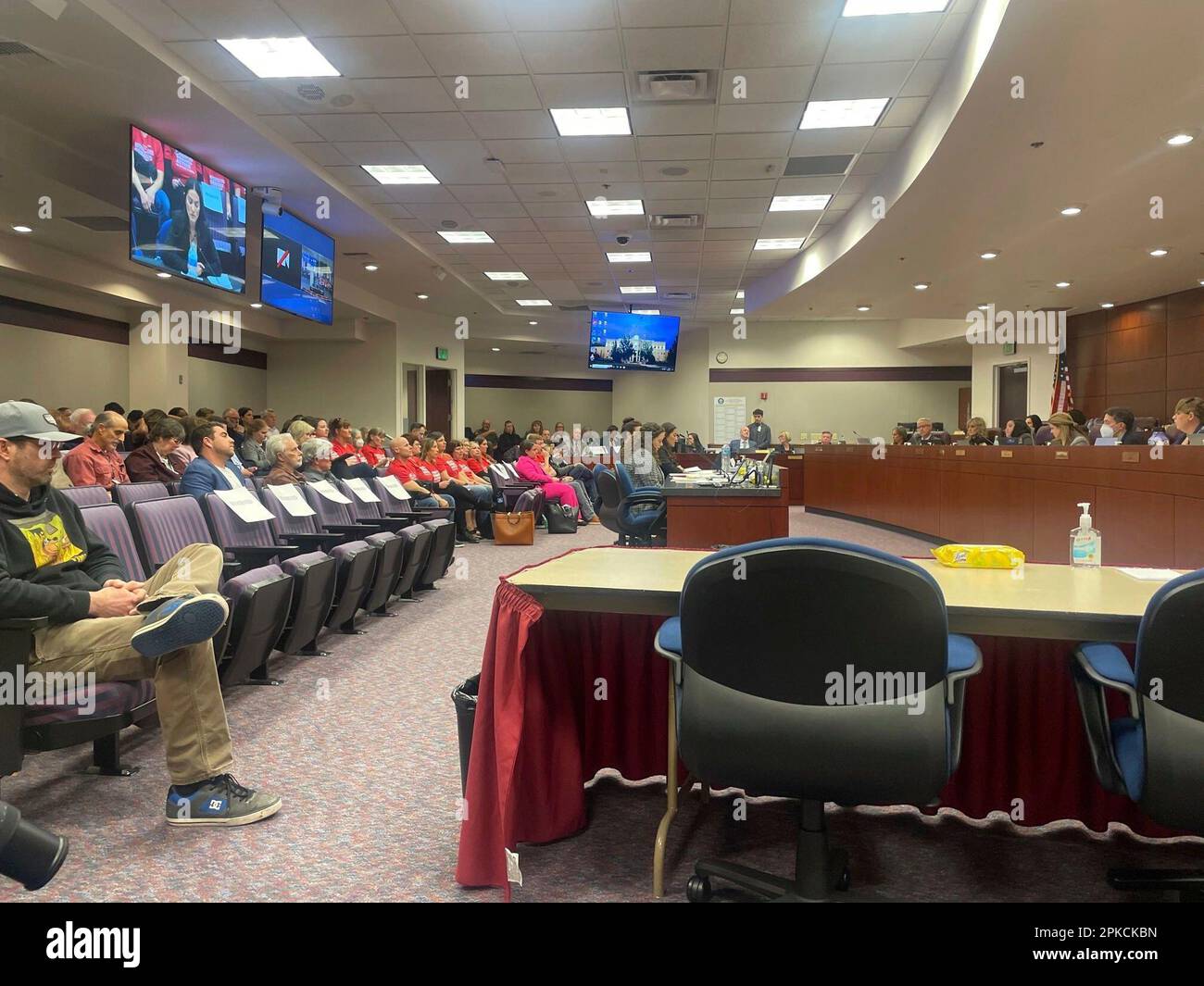 The Nevada state Senate and Assembly judiciary committees hold a joint ...