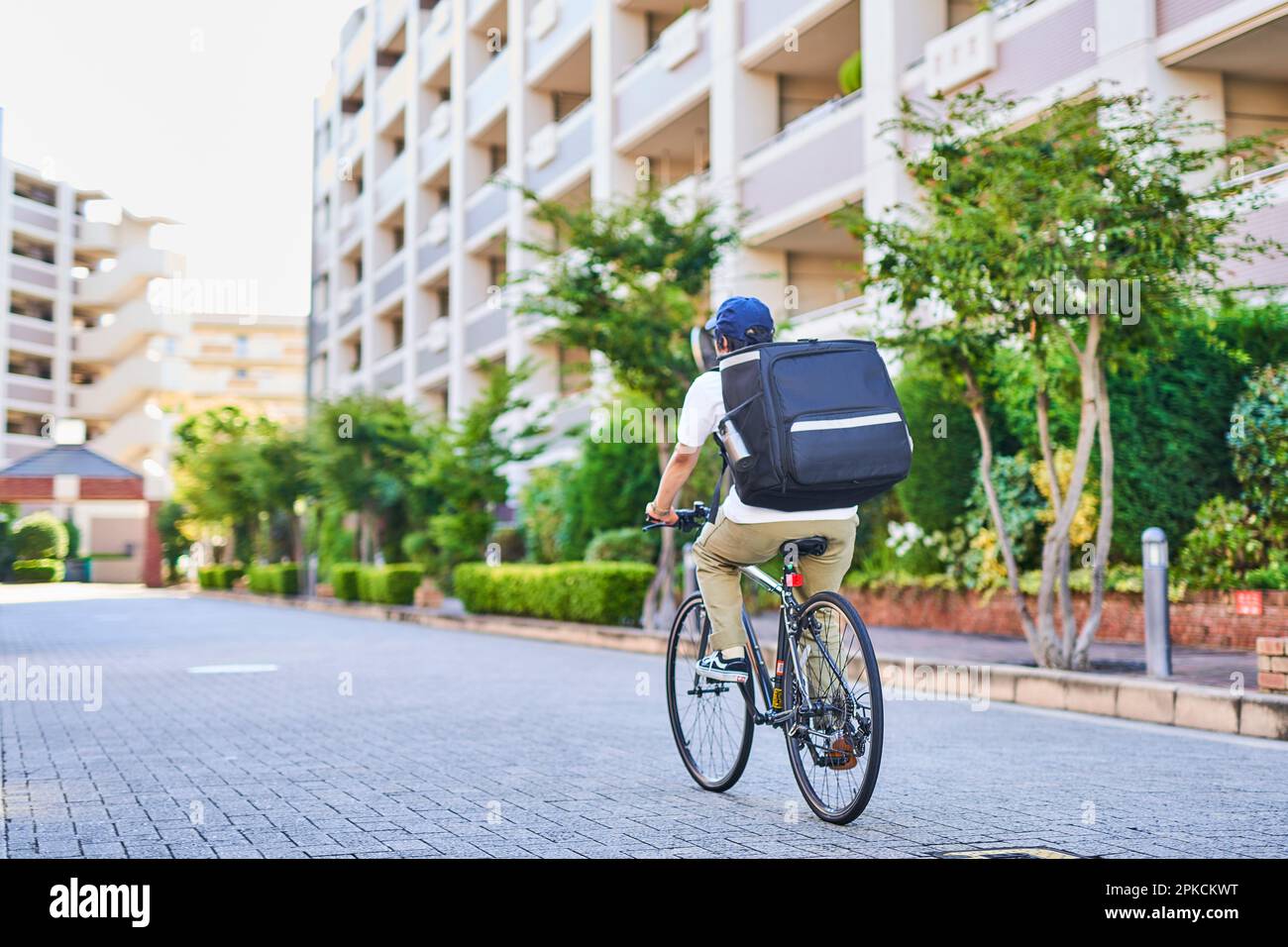 Back view of delivery man doing food delivery by bicycle Stock Photo ...