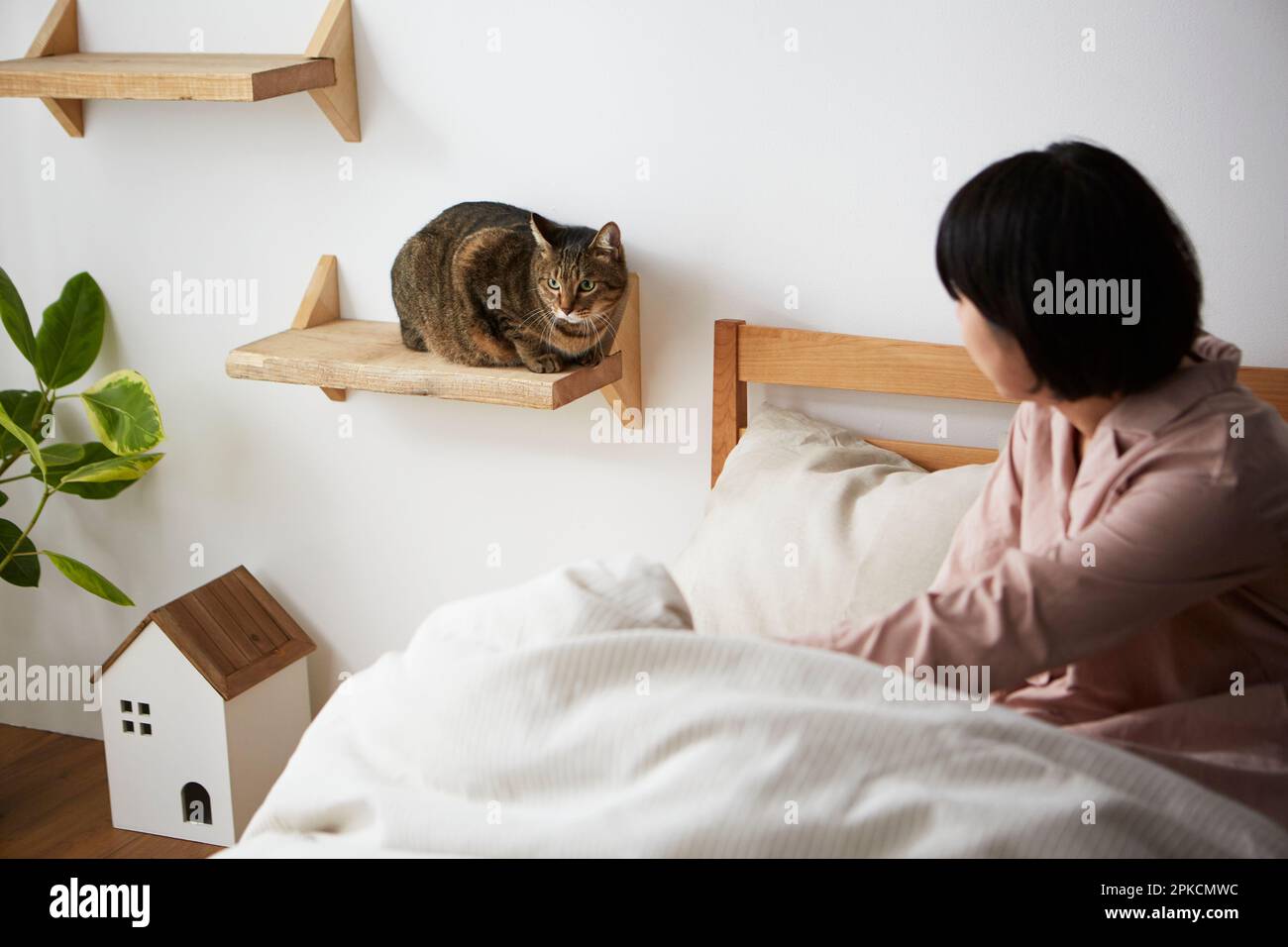 Cat and woman sitting on cat step Stock Photo - Alamy