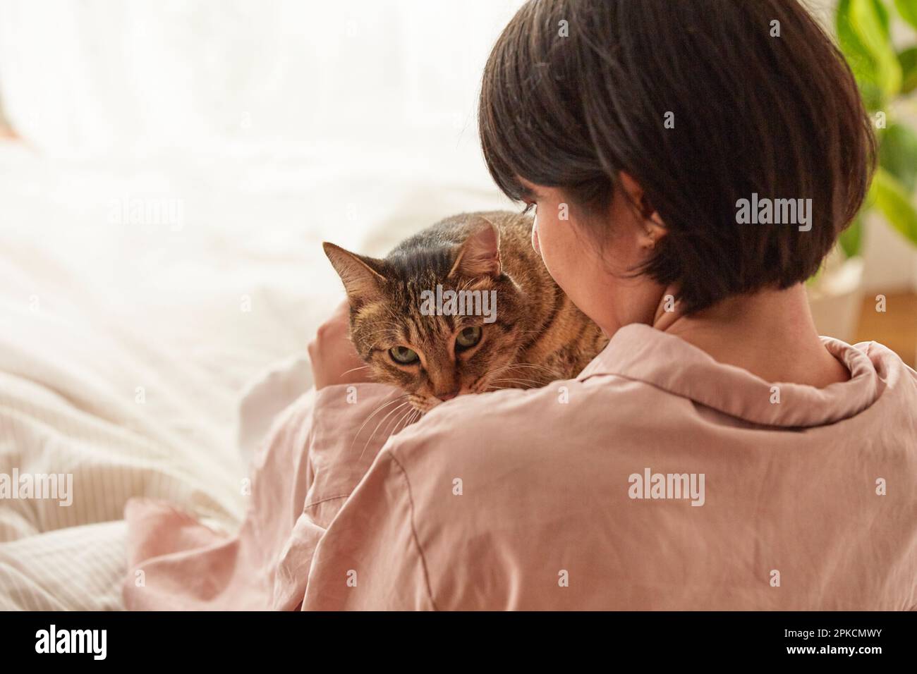 Cat being held by man Stock Photo - Alamy