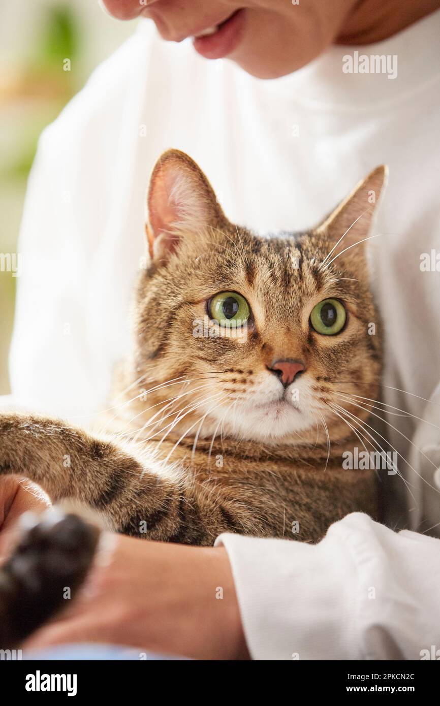 Adult person living alone hi-res stock photography and images - Alamy