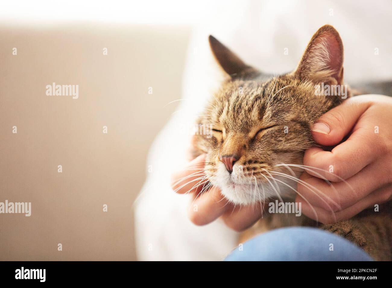 Adult person living alone hi-res stock photography and images - Alamy